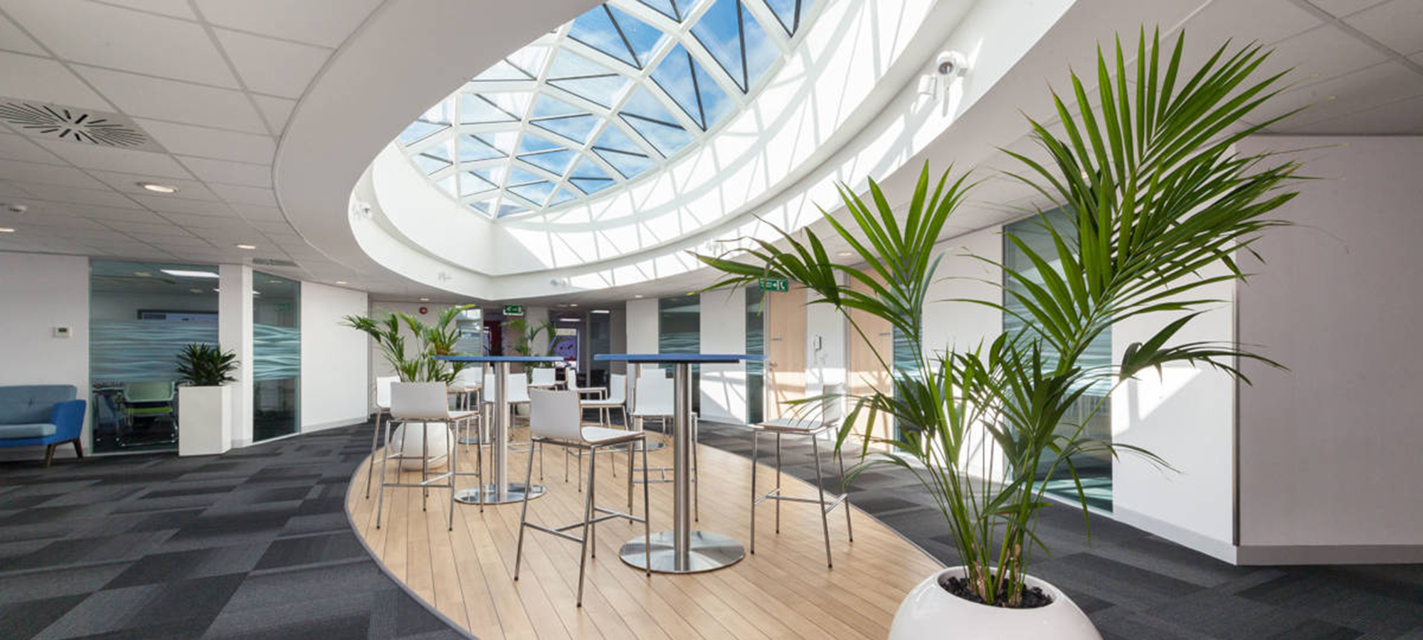 Boehringer Ingelheim Case Study | Cloudbooking